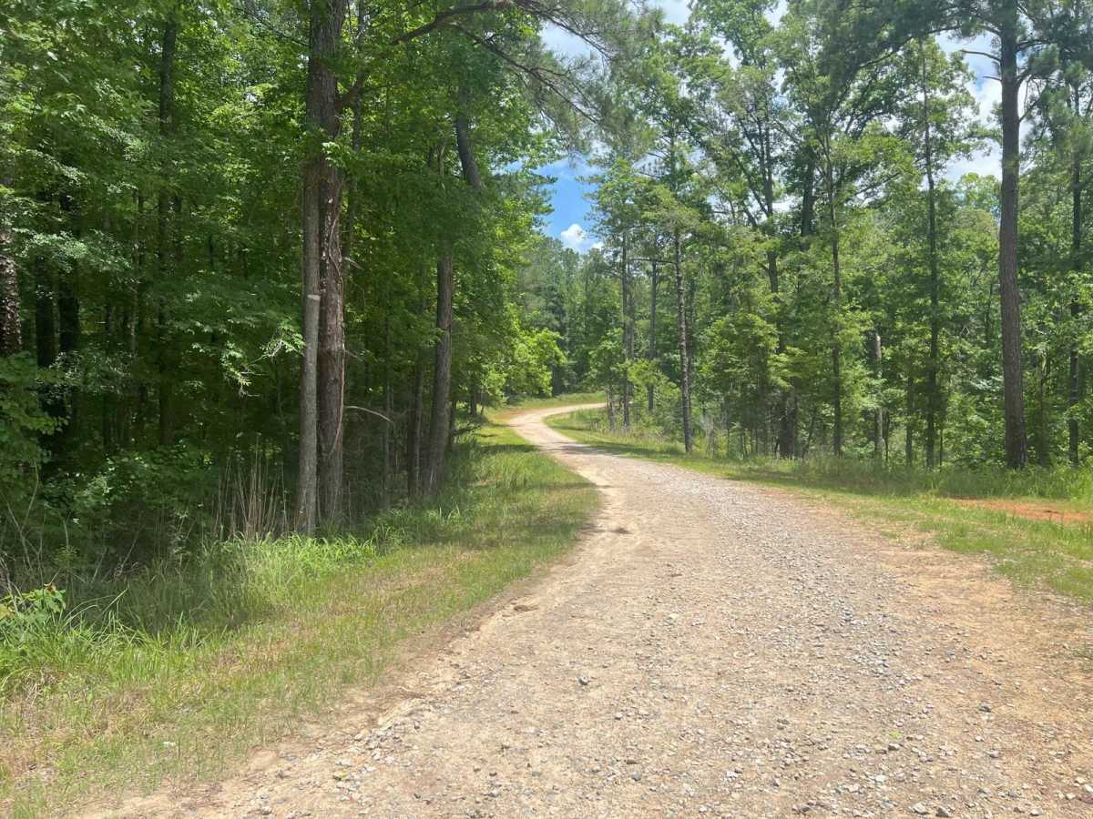 Whitley Road | Off-Road Trail Maps, Difficulty, Trail Status | onX Offroad