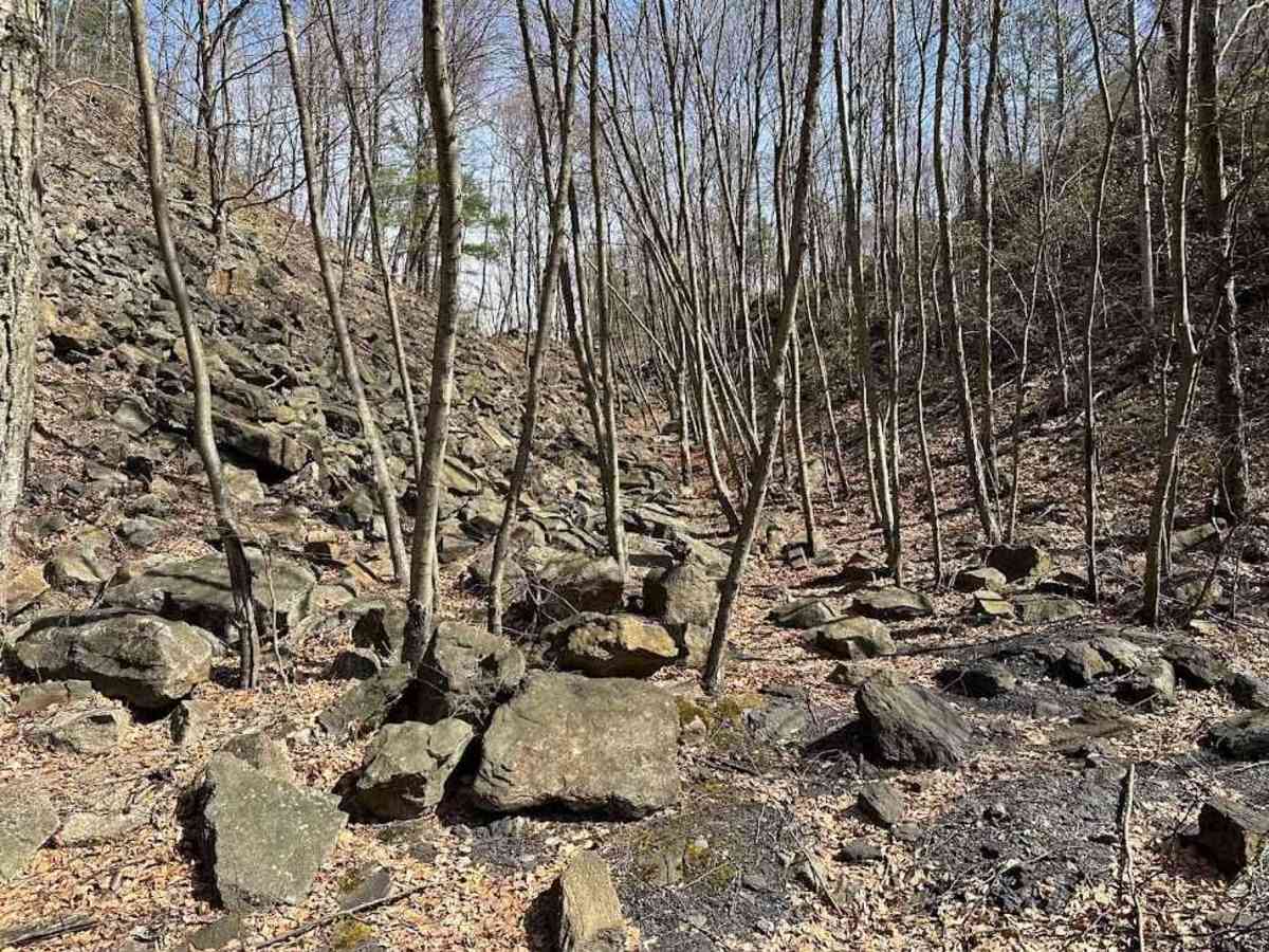 Exit Through The Gift Shop | Off-Road Trail Maps, Difficulty, Trail ...