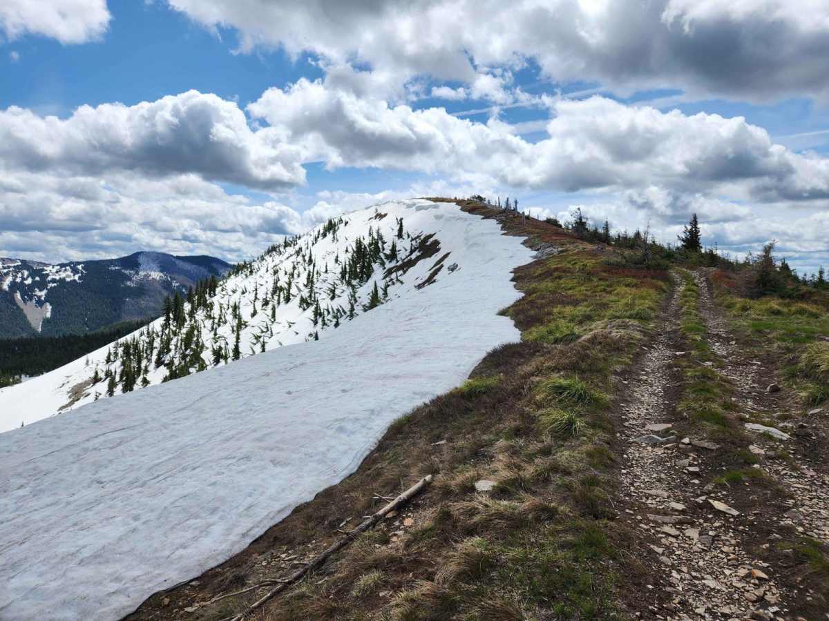 Bloom Peak Trail | Off-Road Trail Maps, Difficulty, Trail Status | onX ...