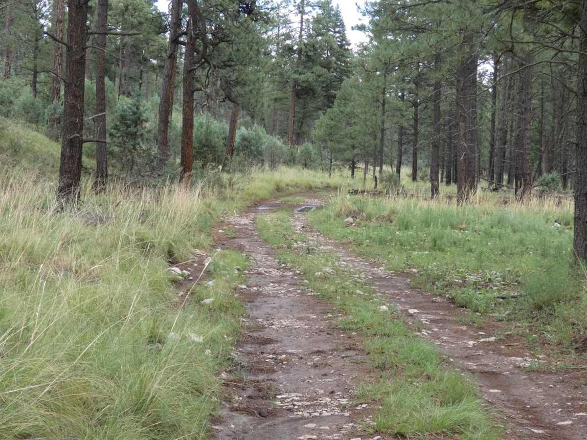 Wet Burnt Can | Off-Road Trail Maps, Difficulty, Trail Status | onX Offroad