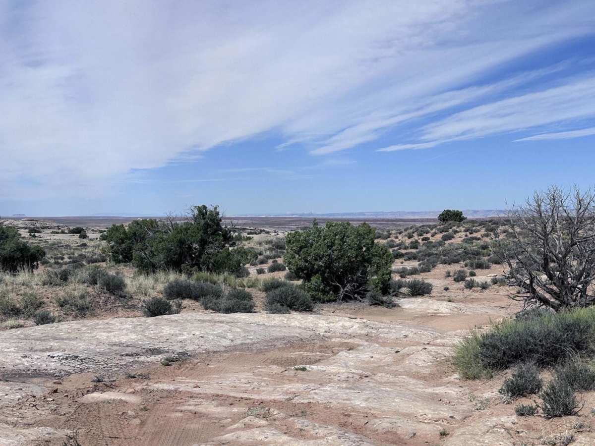 D2652 | Off-Road Trail Maps, Difficulty, Trail Status | onX Offroad