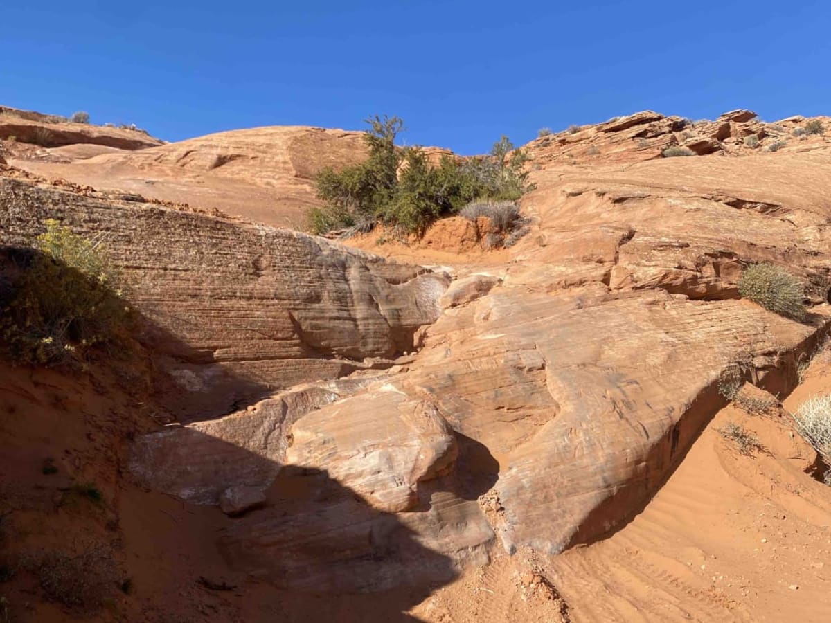 Turtle 2 | Off-Road Trail Maps, Difficulty, Trail Status | onX Offroad