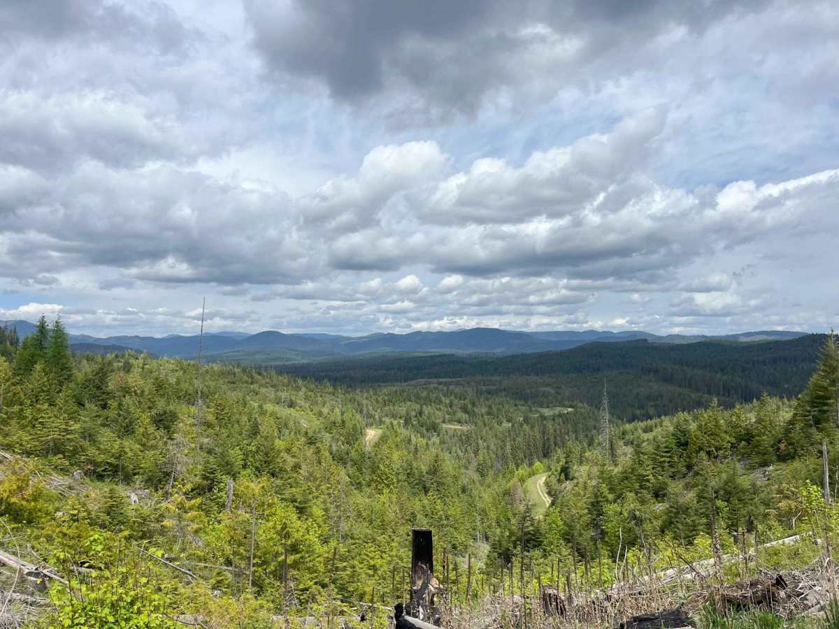 Forest Service Road 3320E East | Off-Road Trail Maps, Difficulty, Trail ...