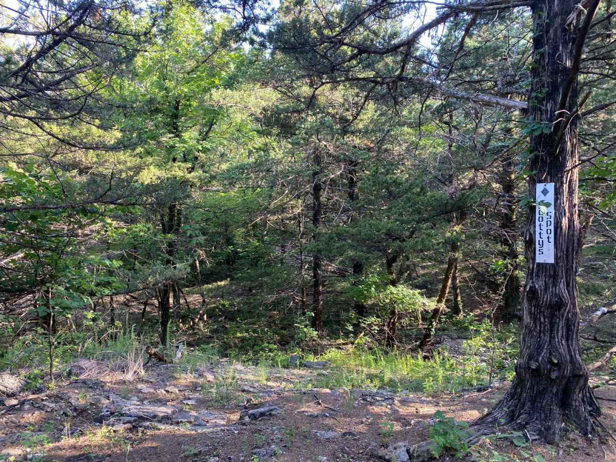 Scotty's Spot | Off-Road Trail Maps, Difficulty, Trail Status | onX Offroad