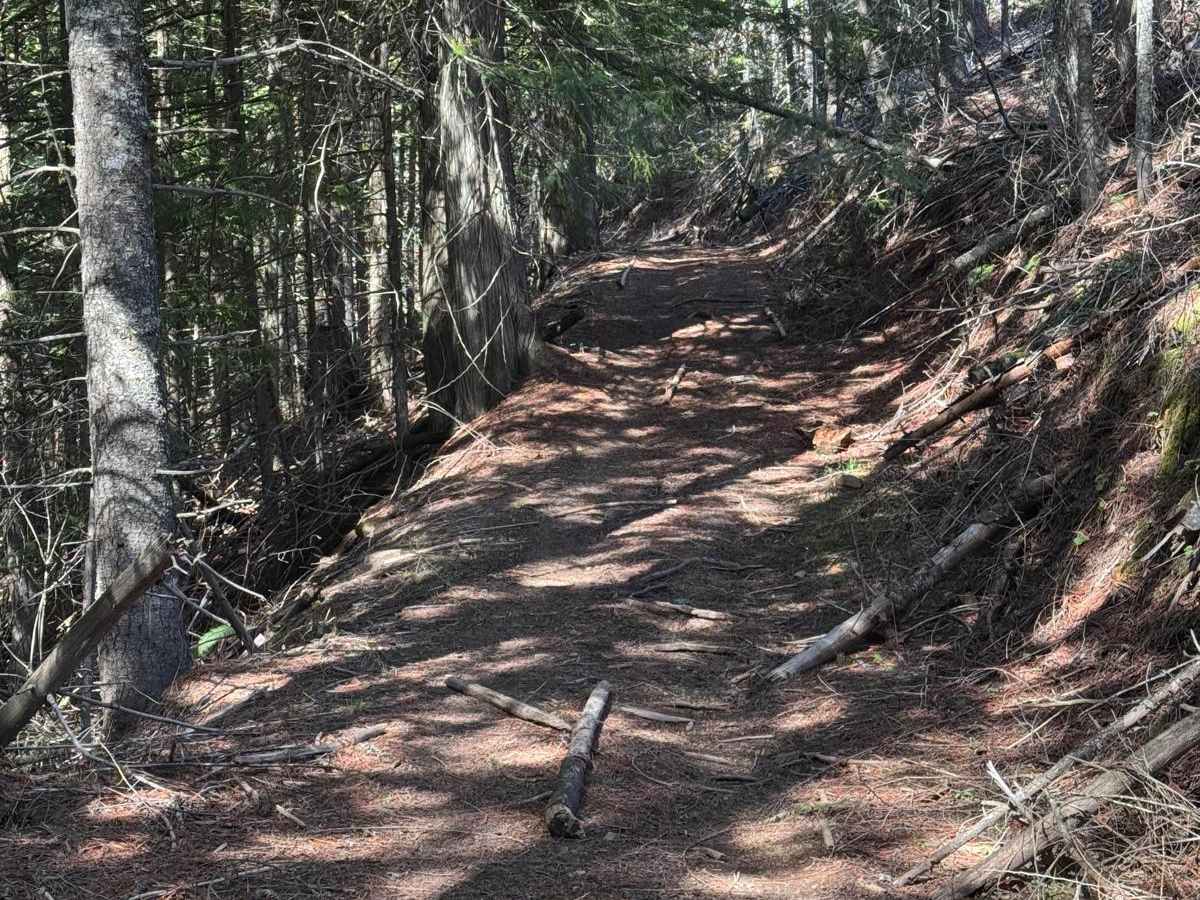 Korth Trail | Off-Road Trail Maps, Difficulty, Trail Status | onX Offroad