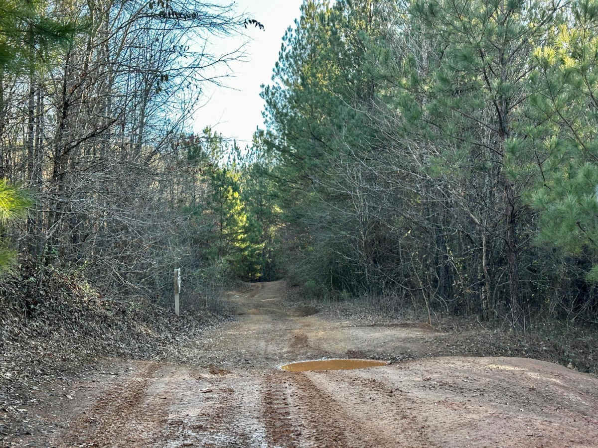 300A | Off-Road Trail Maps, Difficulty, Trail Status | onX Offroad