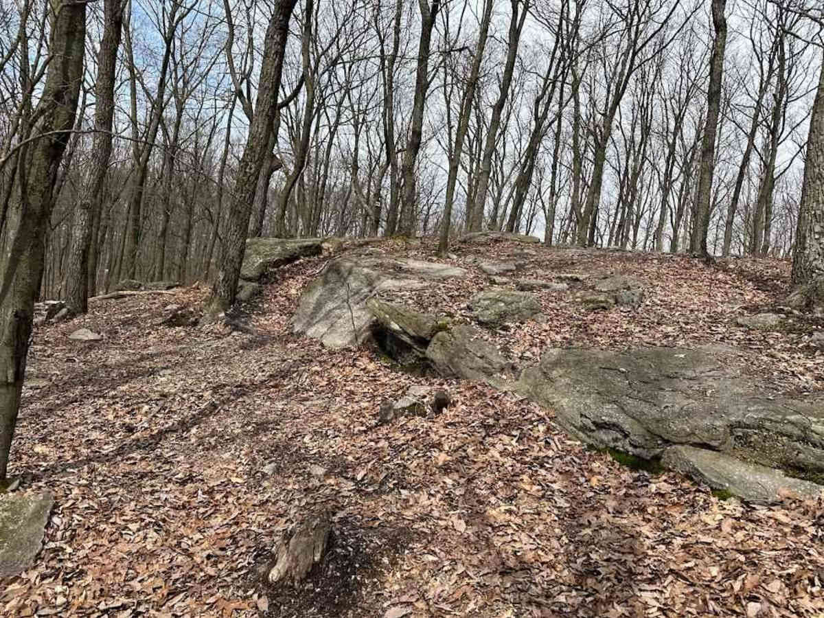 Muffin Top | Off-Road Trail Maps, Difficulty, Trail Status | onX Offroad