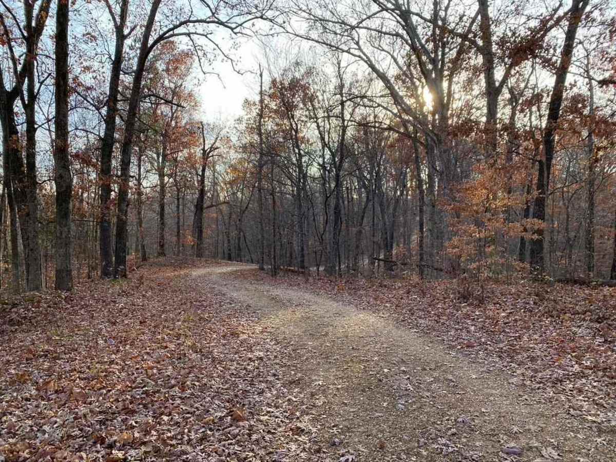 Lady Cemetery FSR 128 | Off-Road Trail Maps, Difficulty, Trail Status ...