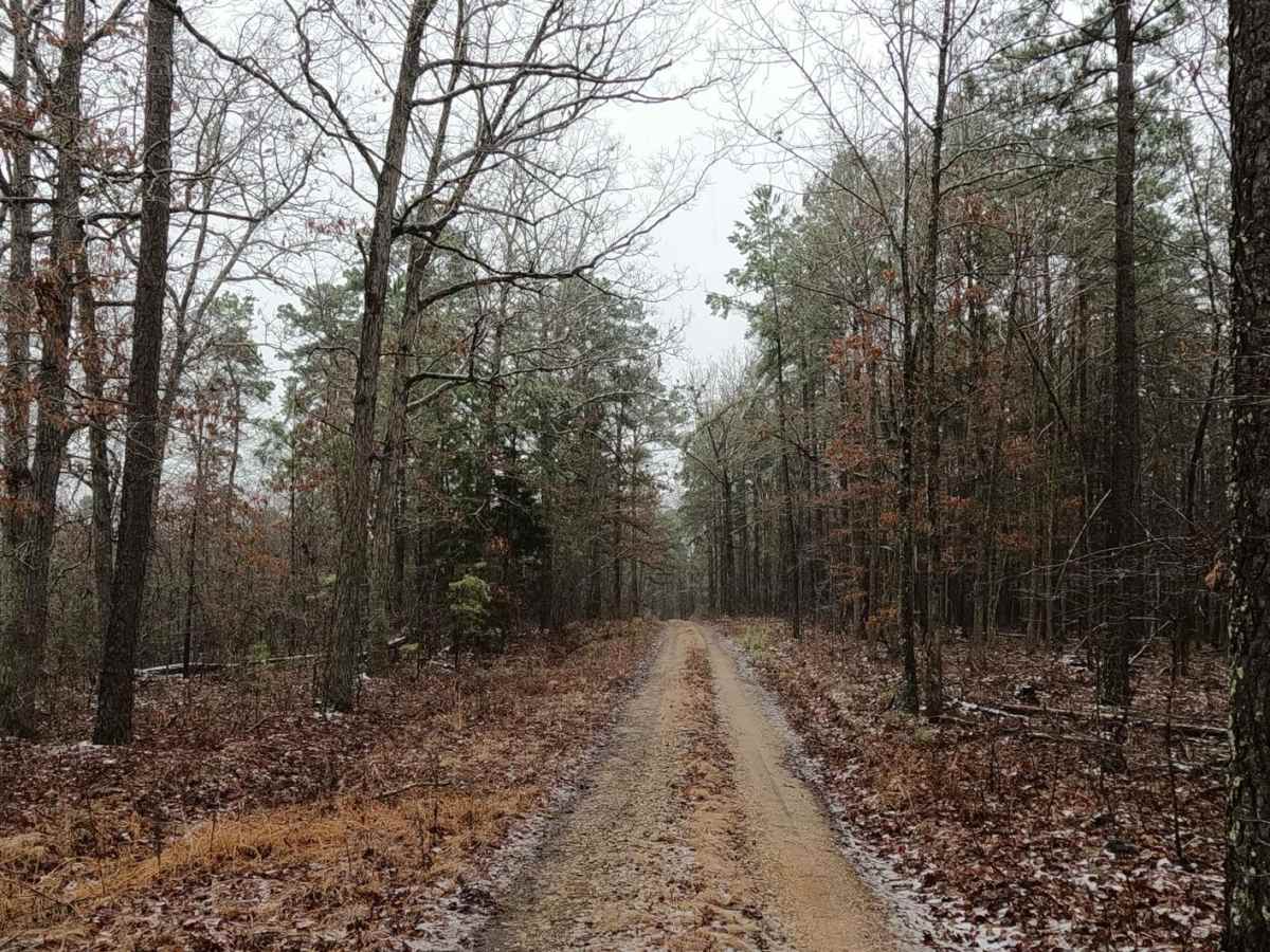 Criswell - FS 2248 | Off-Road Trail Maps, Difficulty, Trail Status ...