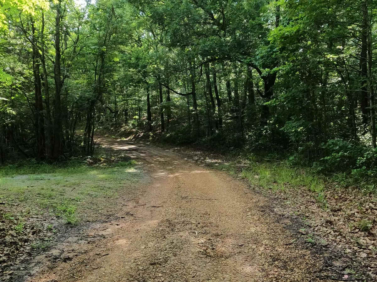 Turkey Creek Cemetery Road - FS 413 | Off-Road Trail Maps, Difficulty ...
