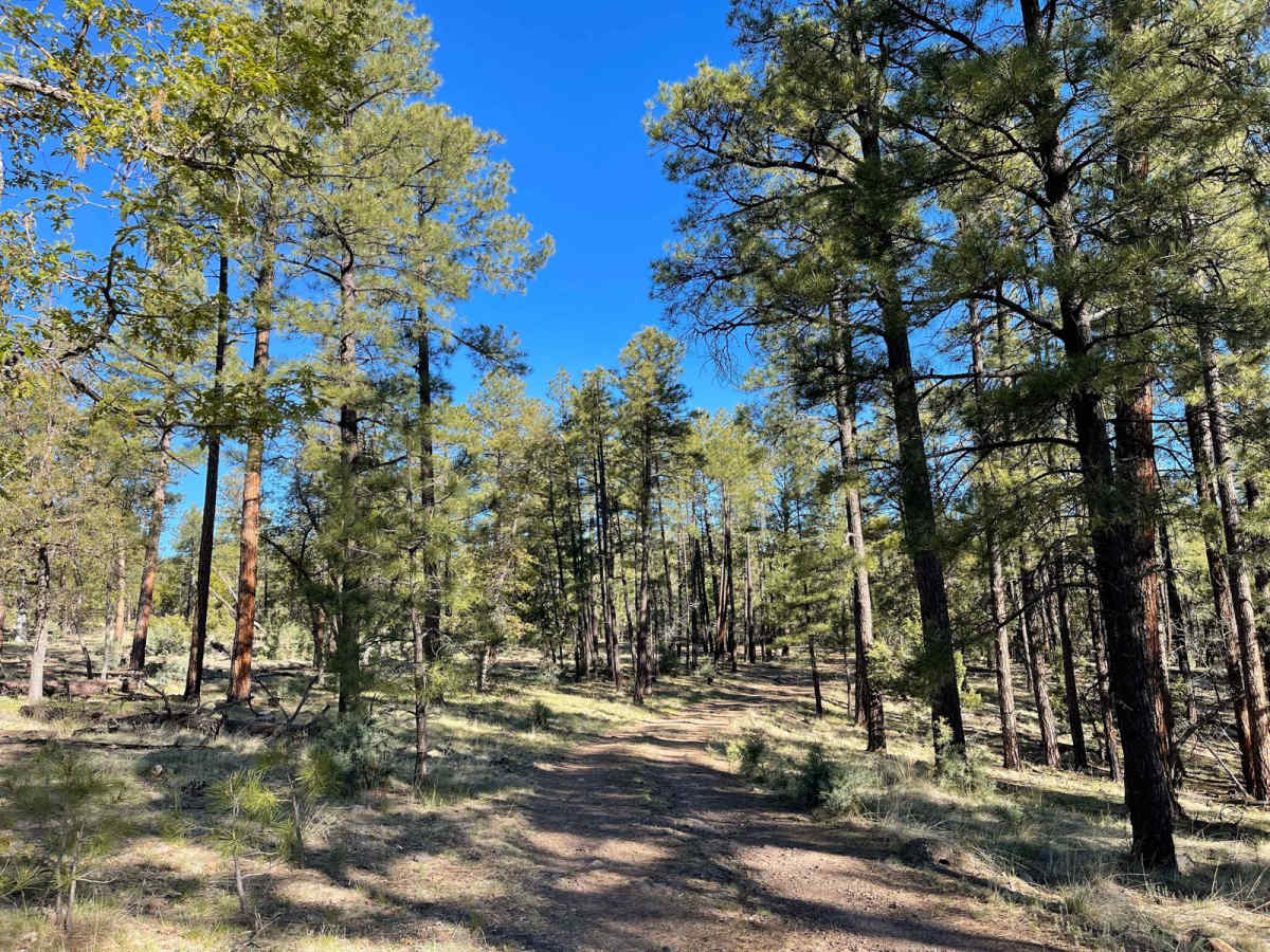 Apache Peak Road | Off-Road Trail Maps, Difficulty, Trail Status | onX ...