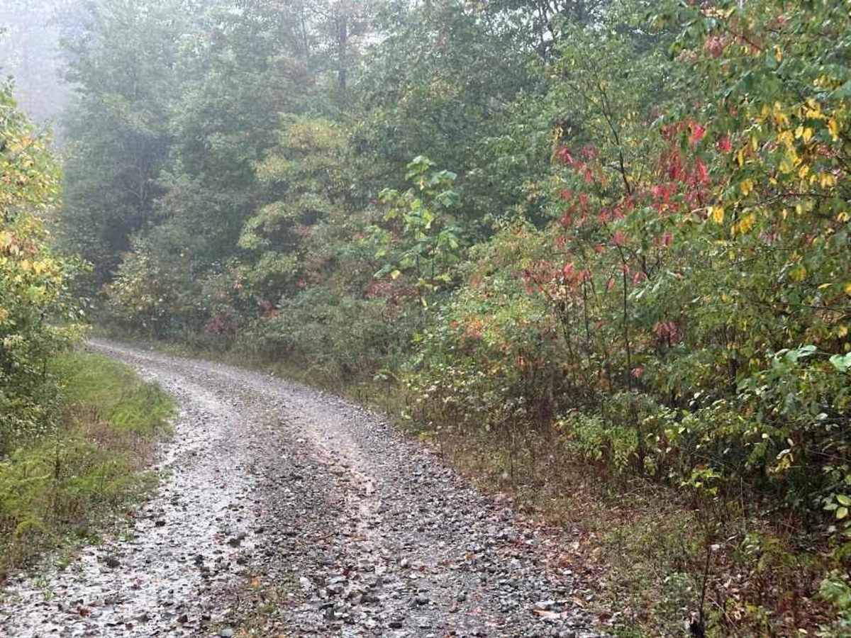 19 Green | Off-Road Trail Maps, Difficulty, Trail Status | onX Offroad