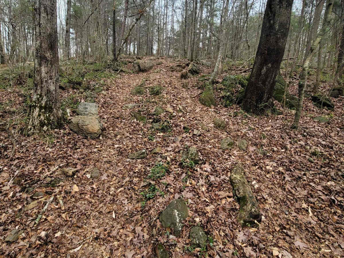 Hornets Nest Bypass | Off-Road Trail Maps, Difficulty, Trail Status ...
