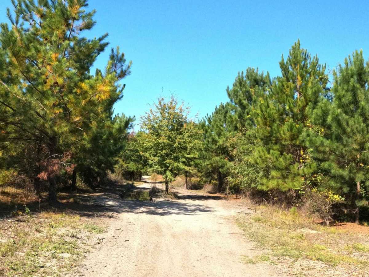 Devine Drive | Off-Road Trail Maps, Difficulty, Trail Status | onX Offroad