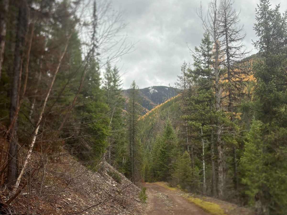 Old Highway 2 | Off-Road Trail Maps, Difficulty, Trail Status | onX Offroad