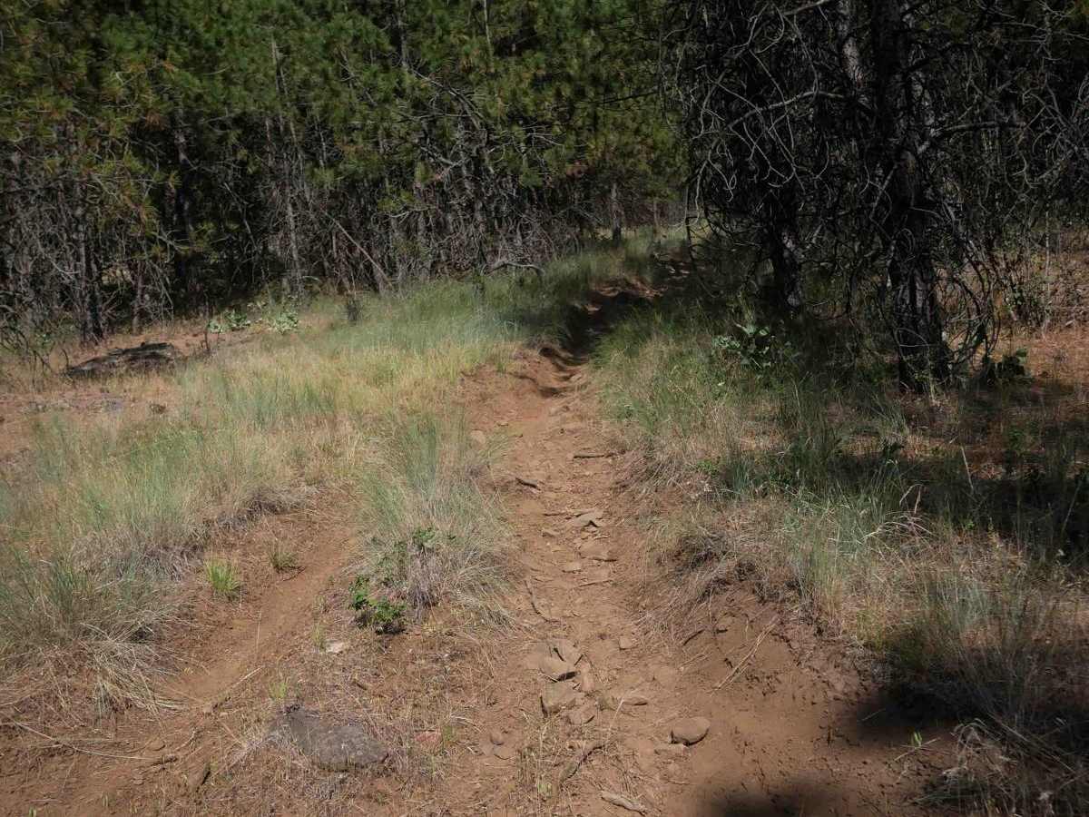 Trough Line | Off-Road Trail Maps, Difficulty, Trail Status | onX Offroad