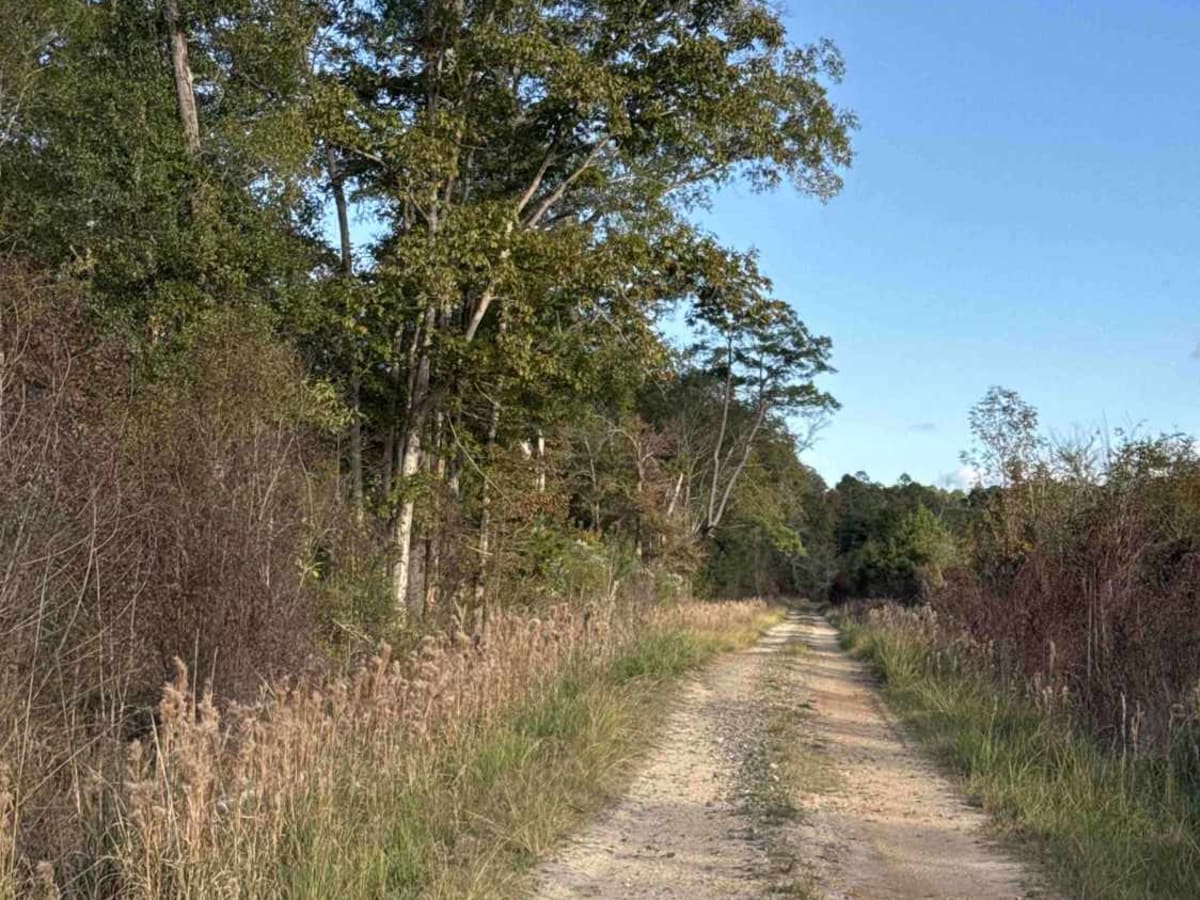 Seven Bridge Road | Off-Road Trail Maps, Difficulty, Trail Status | onX ...
