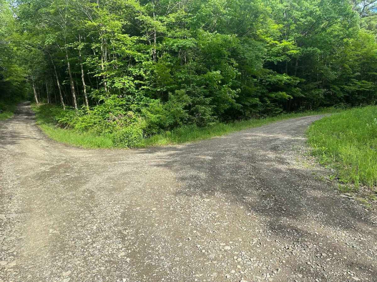Runner Road (Seasonal) | Off-Road Trail Maps, Difficulty, Trail Status ...