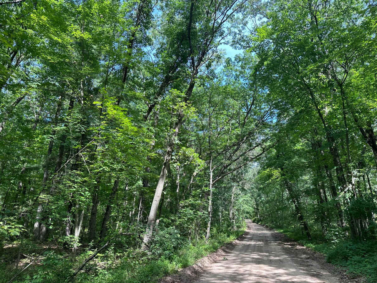 West Snow Lake Road | Off-Road Trail Maps, Difficulty, Trail Status ...