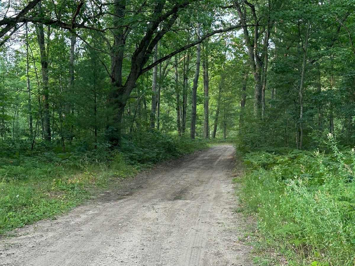 Hulbert Road | Off-Road Trail Maps, Difficulty, Trail Status | onX Offroad