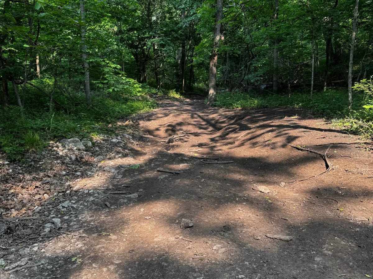 Green 133 | Off-Road Trail Maps, Difficulty, Trail Status | onX Offroad