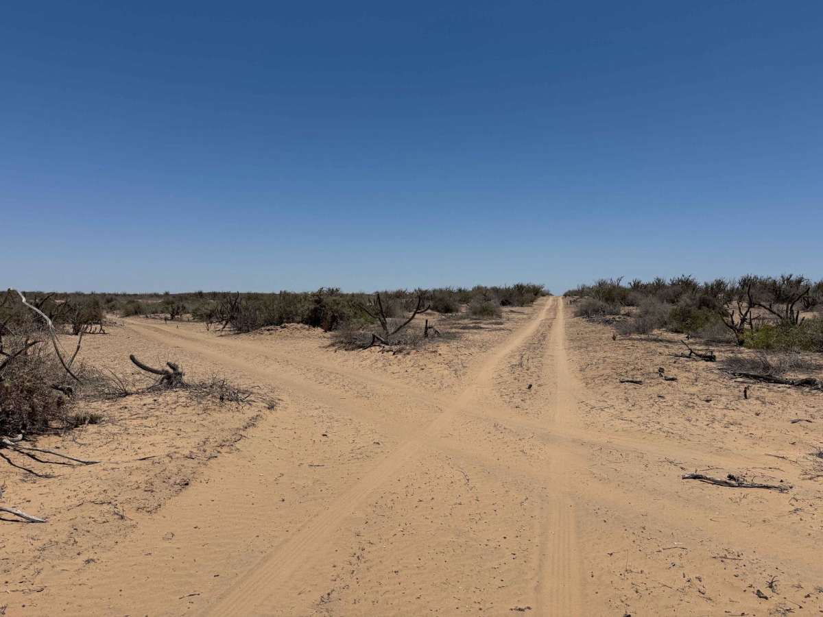 North-South Low Cross | Off-Road Trail Maps, Difficulty, Trail Status ...