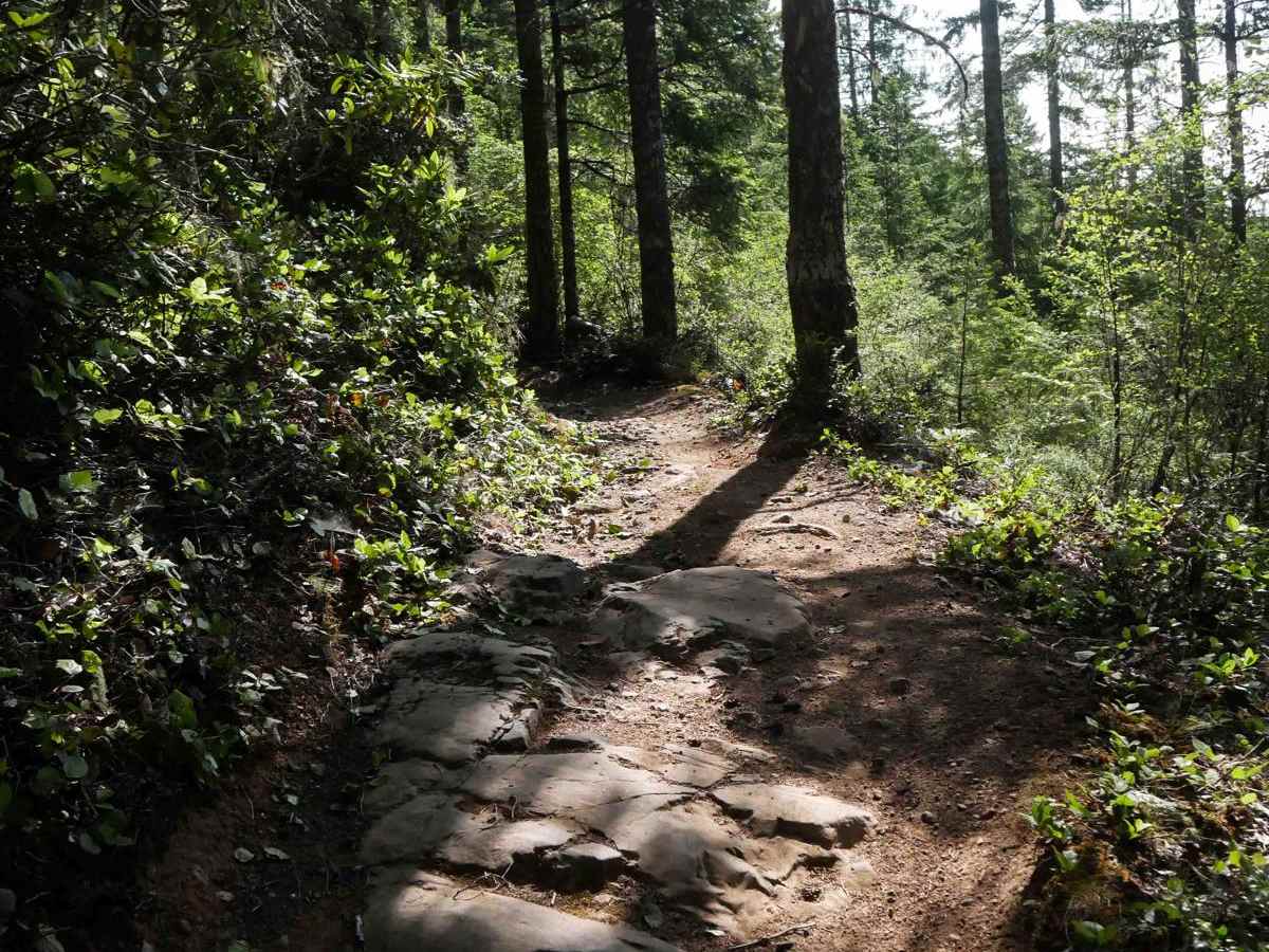 Wildcat | Off-Road Trail Maps, Difficulty, Trail Status | onX Offroad