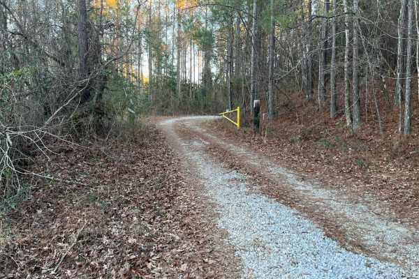 Best Off-Road Trails Near Mosses, Alabama | Maps, Ratings & Info | onX