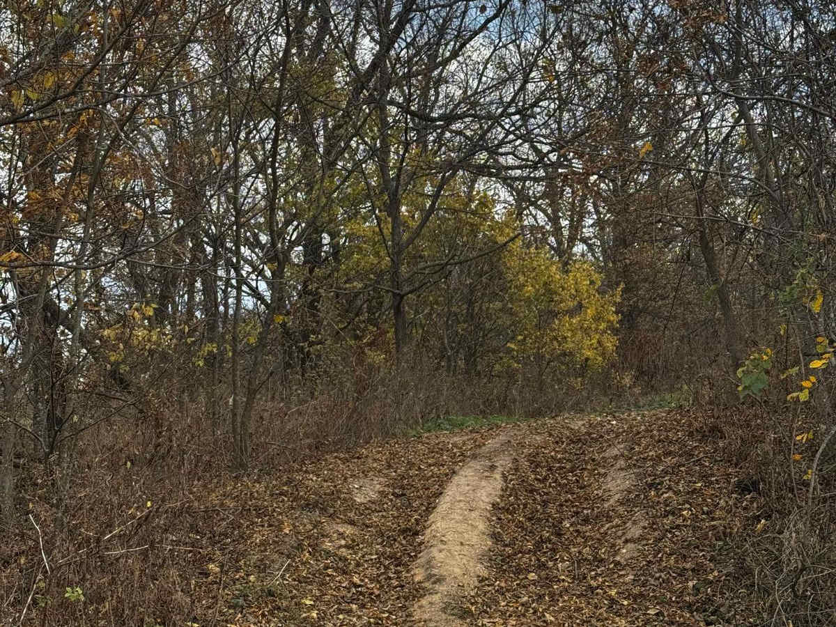 AXC Kids Loop | Off-Road Trail Maps, Difficulty, Trail Status | onX Offroad