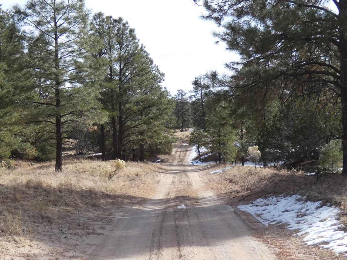 Council Rock | Off-Road Trail Maps, Difficulty, Trail Status | onX Offroad