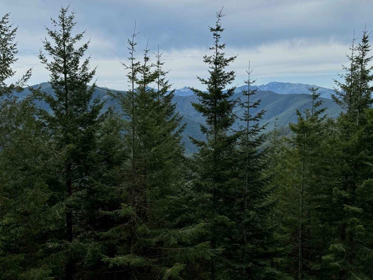 Saturday Rock Connection Trail | Off-Road Trail Maps, Difficulty, Trail ...