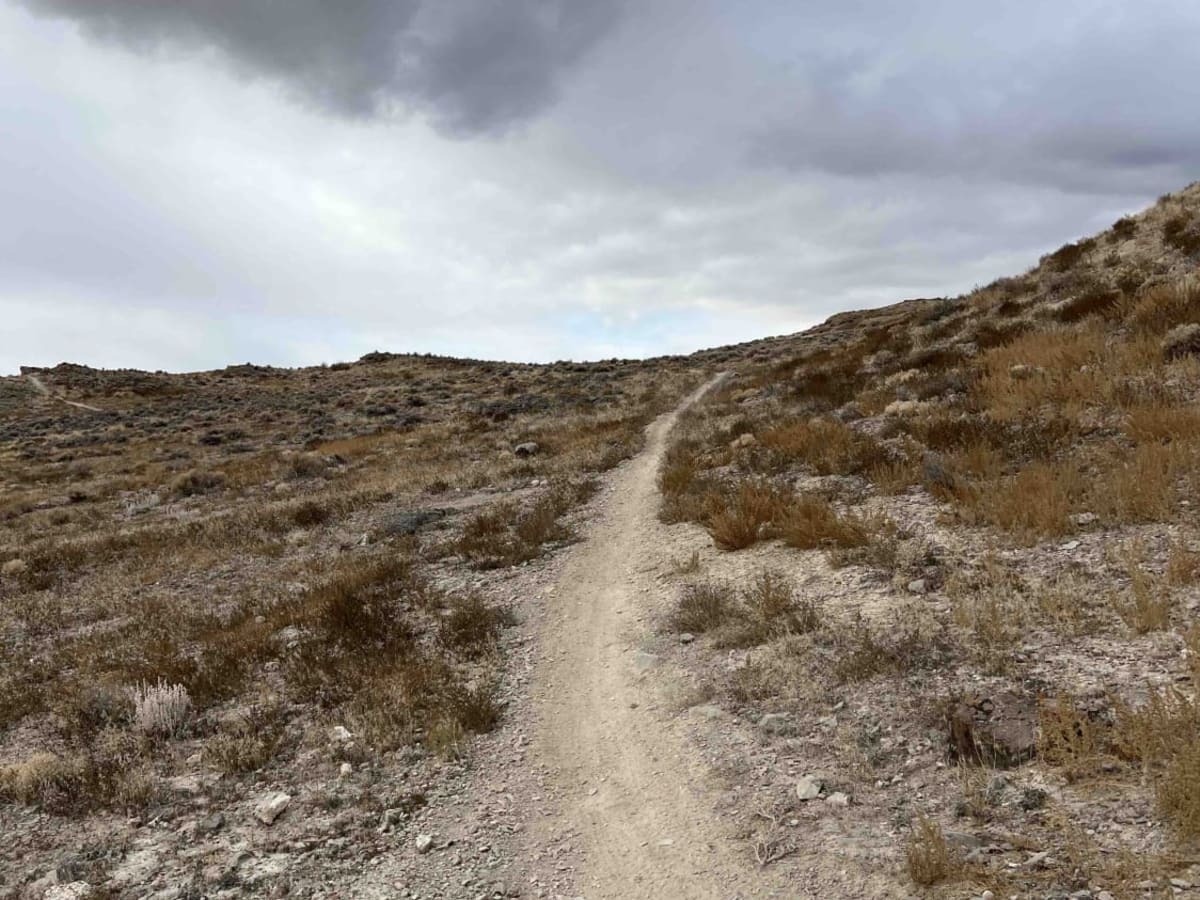 Sidewinder | Off-Road Trail Maps, Difficulty, Trail Status | onX Offroad