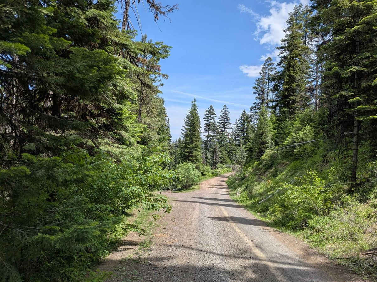 Buckhorn Overlook Spur | Off-Road Trail Maps, Difficulty, Trail Status ...