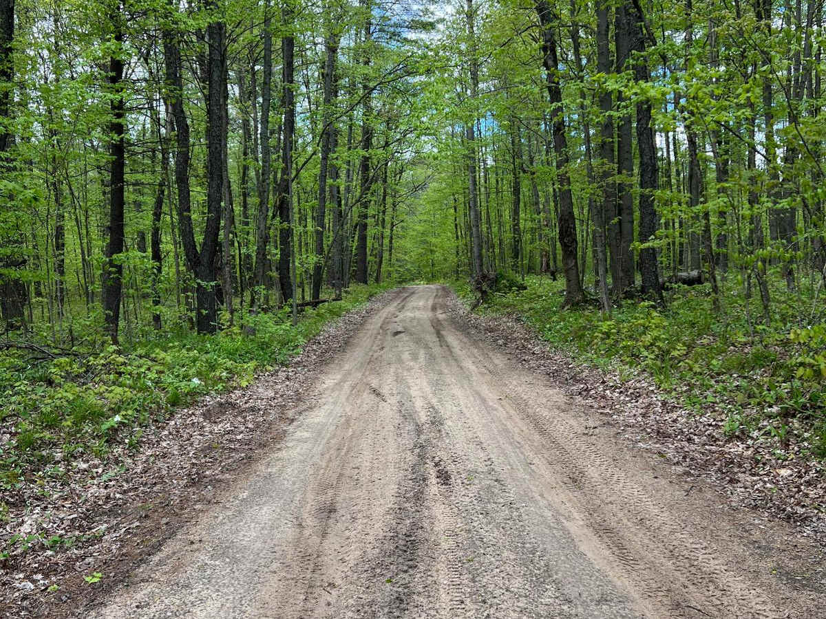 N 23-1/2 Trail | Off-Road Trail Maps, Difficulty, Trail Status | onX ...