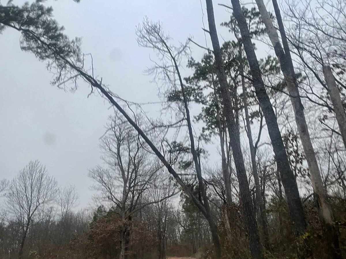 Country Road Nec35A | Off-Road Trail Maps, Difficulty, Trail Status ...