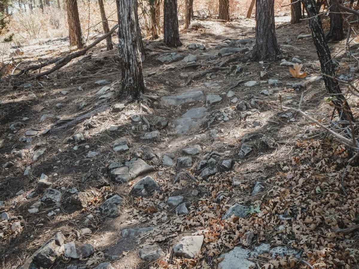 Pine Loop | Off-Road Trail Maps, Difficulty, Trail Status | onX Offroad
