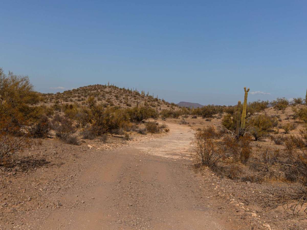 Sidewinder | Off-Road Trail Maps, Difficulty, Trail Status | onX Offroad