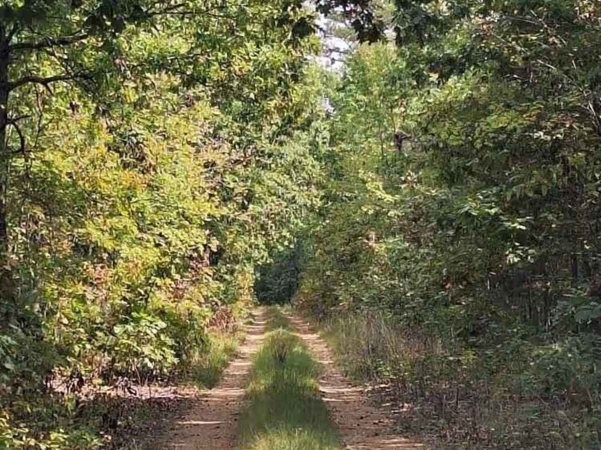 Logan Mtn FSR 2780 | Off-Road Trail Maps, Difficulty, Trail Status ...