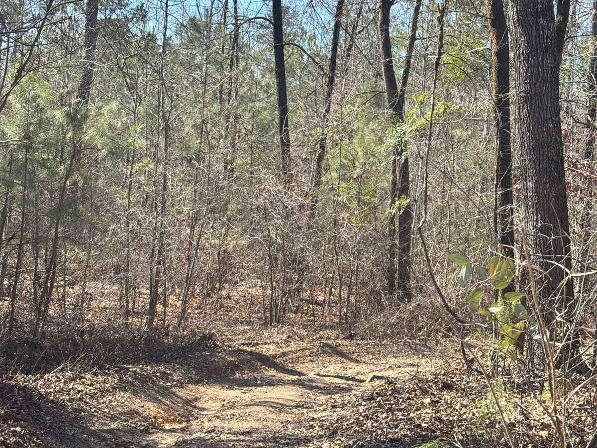 56A | Off-Road Trail Maps, Difficulty, Trail Status | onX Offroad