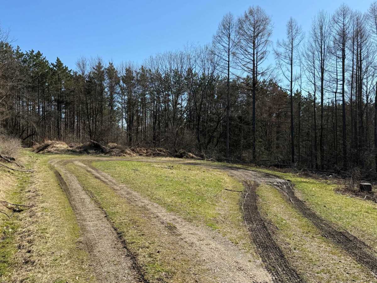 Plumbottom Reddy Forest Road | Off-Road Trail Maps, Difficulty, Trail ...