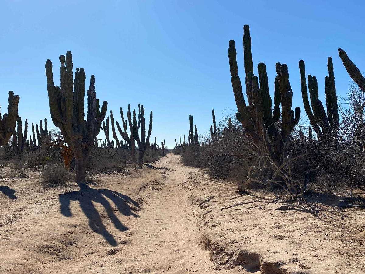 Southeast High Road | Off-Road Trail Maps, Difficulty, Trail Status ...