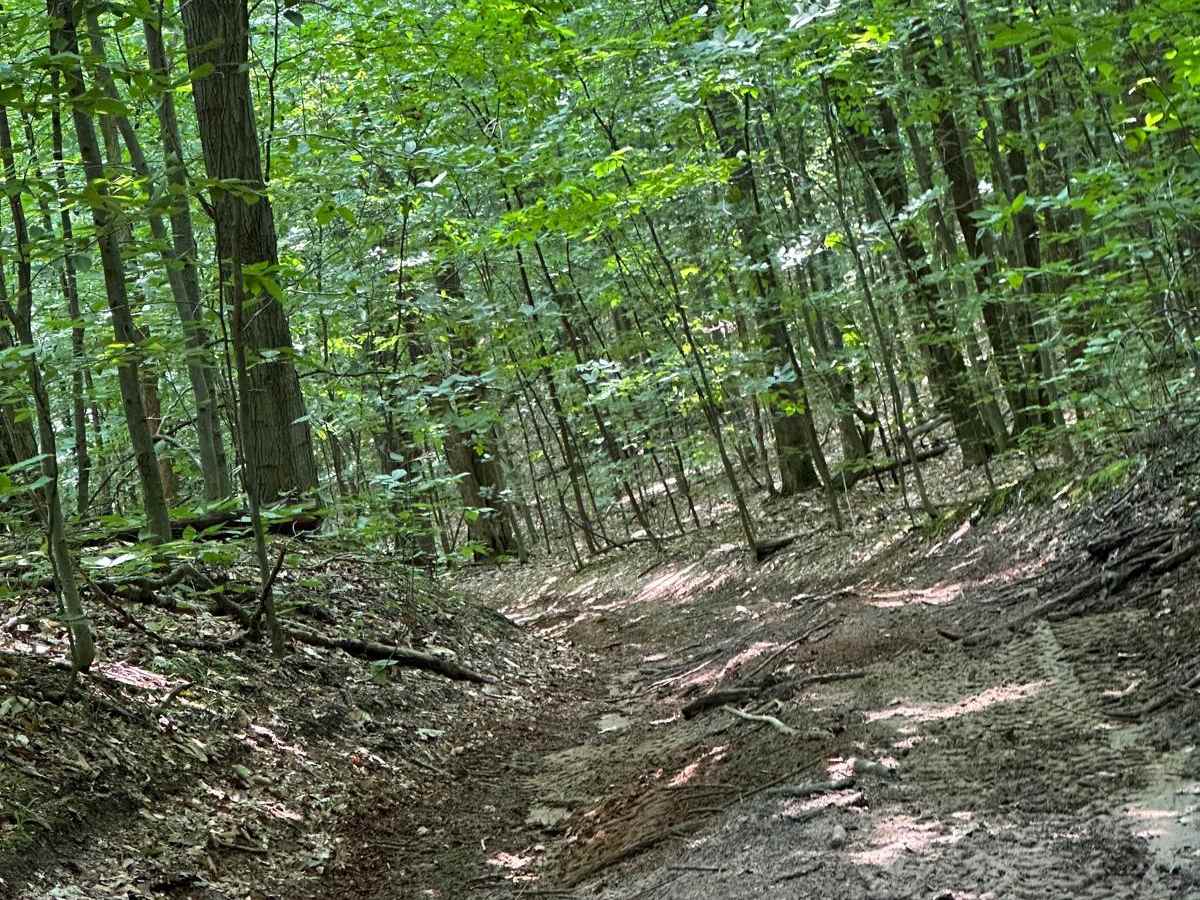 Milnichol Loop | Off-Road Trail Maps, Difficulty, Trail Status | onX ...