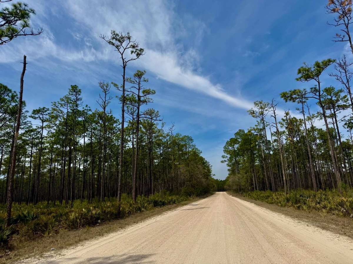 Forest Highway 13 | Off-Road Trail Maps, Difficulty, Trail Status | onX ...