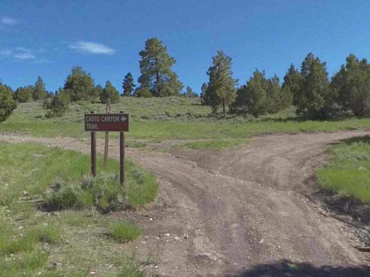 Limekiln Road-BLM2350 | Off-Road Trail Maps, Difficulty, Trail Status ...