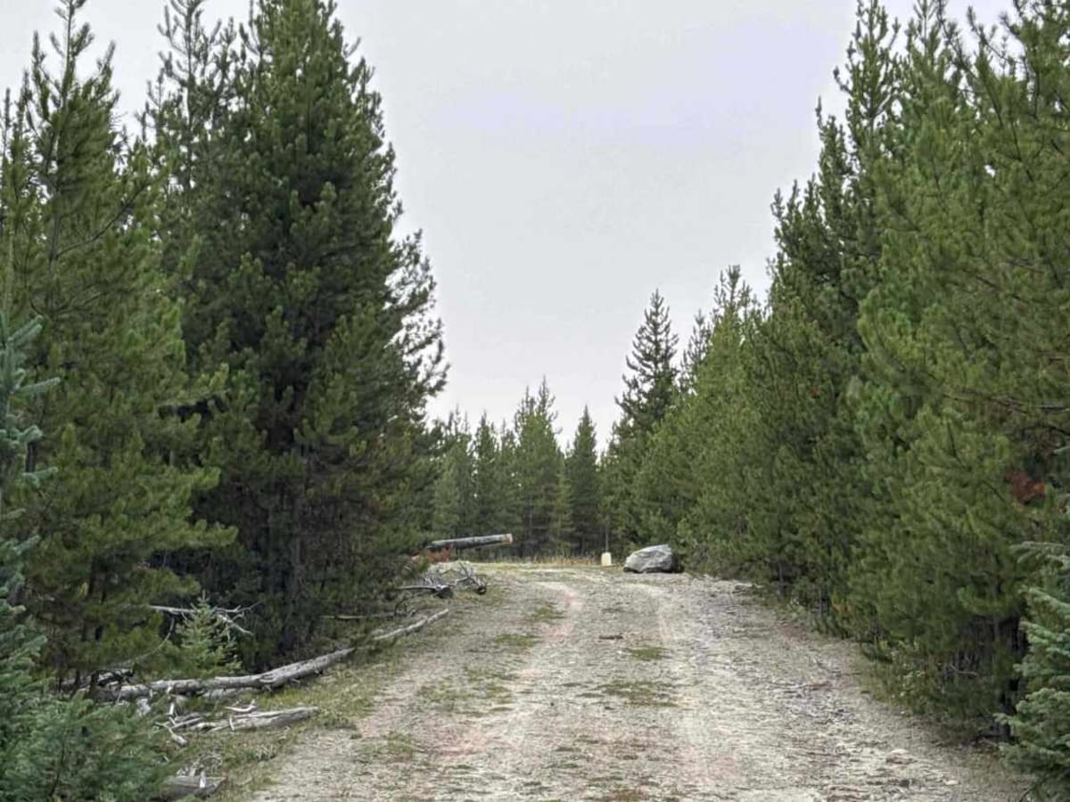 Rat Lake Road | Off-Road Trail Maps, Difficulty, Trail Status | onX Offroad
