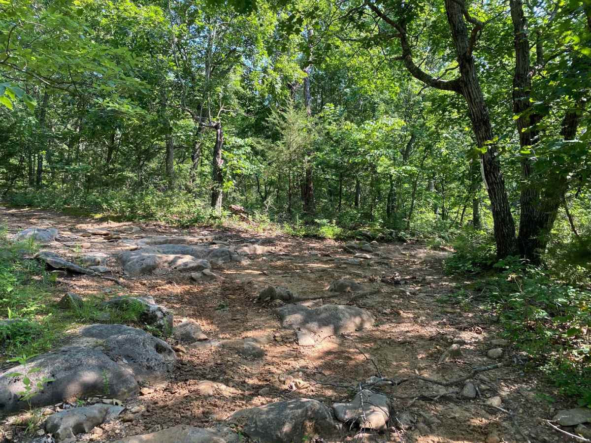 Red and Yellow Tree Bypass | Off-Road Trail Maps, Difficulty, Trail ...