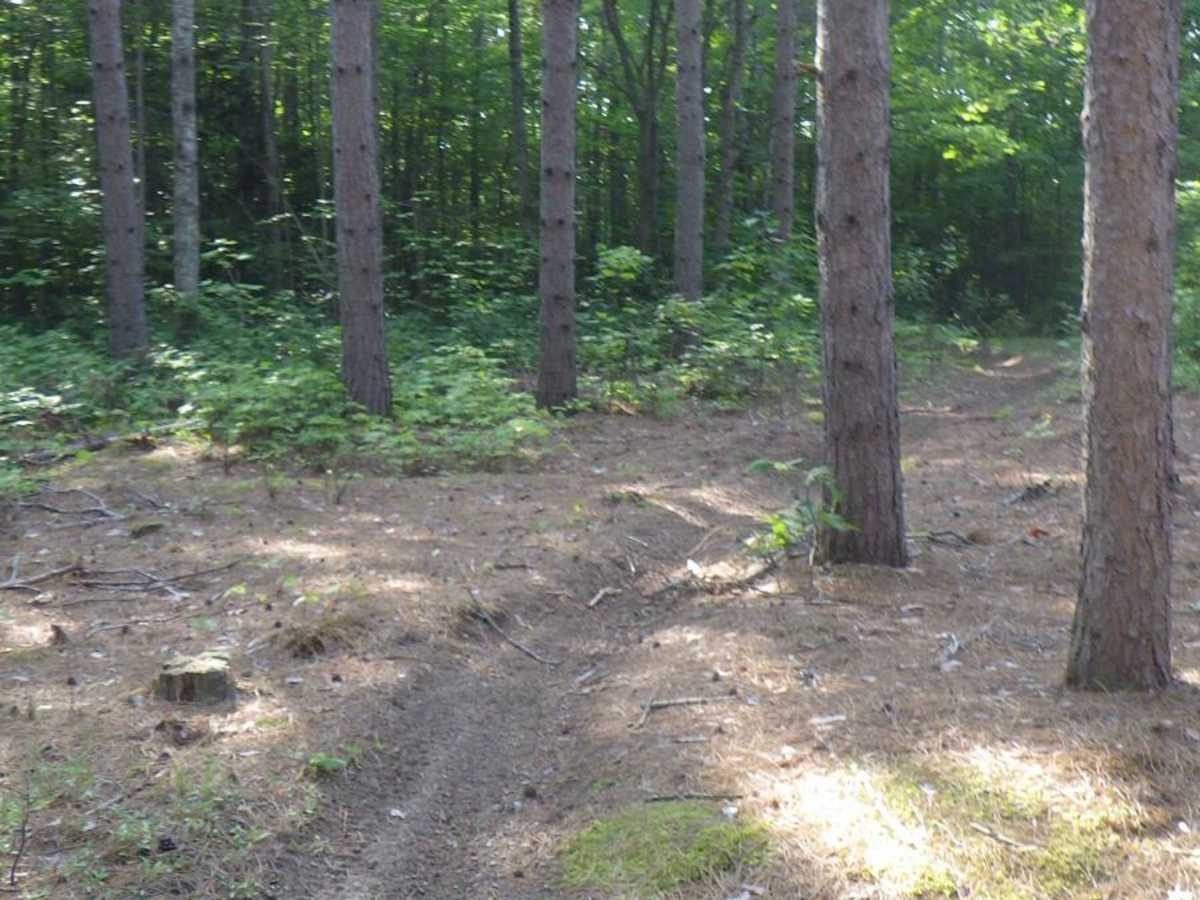 Kinross Motorcycle Trail South/East Loop | Off-Road Trail Maps ...