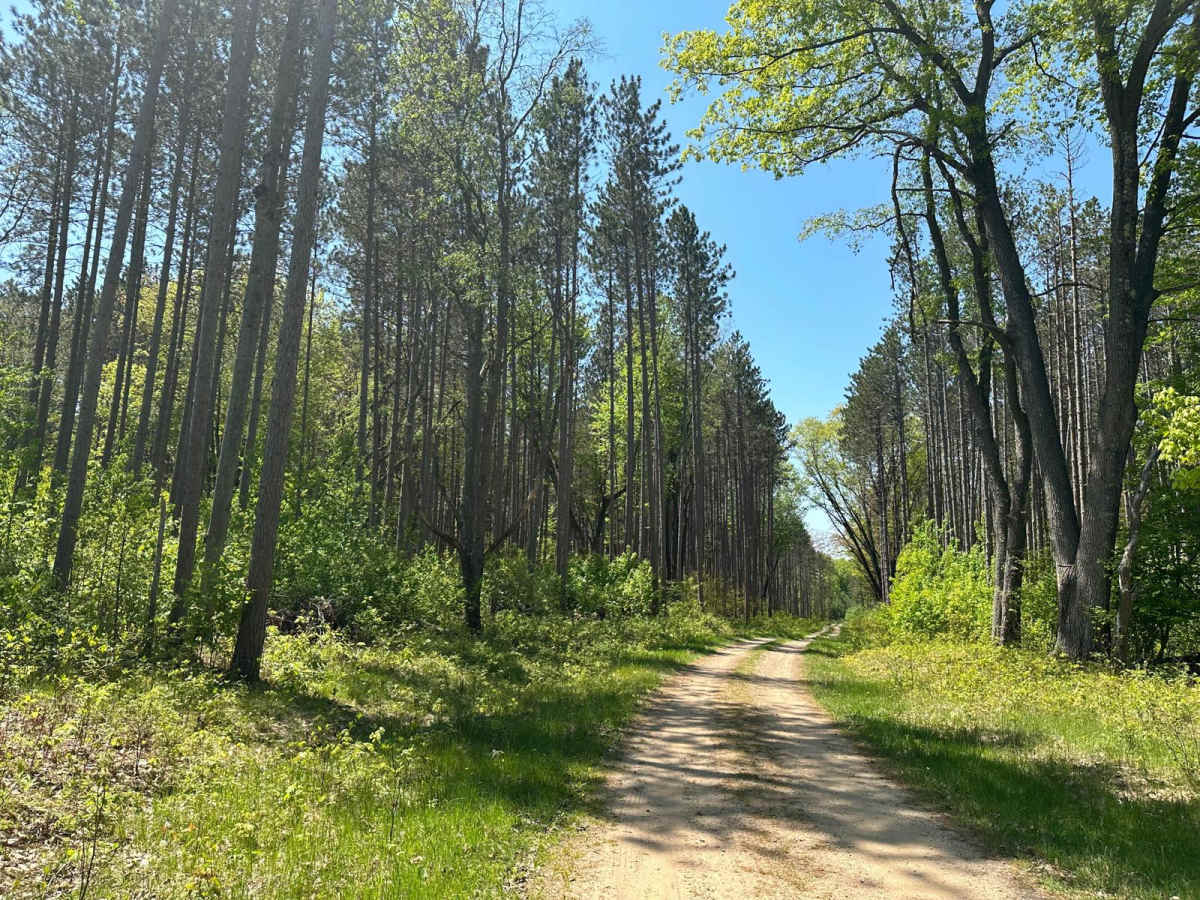 Udell Fire Tower- FS 5207 | Off-Road Trail Maps, Difficulty, Trail ...