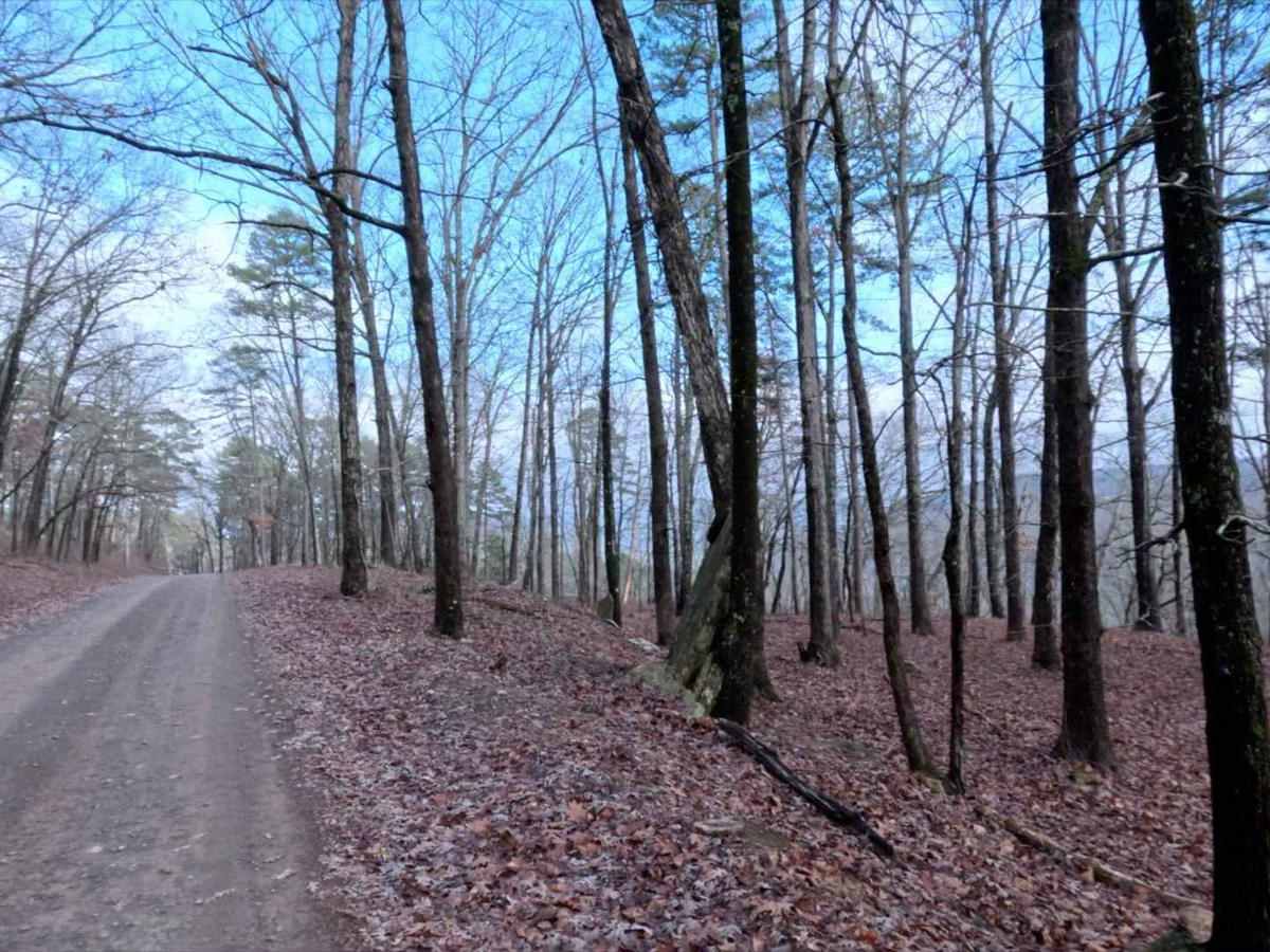 Seymor Road | Off-Road Trail Maps, Difficulty, Trail Status | onX Offroad