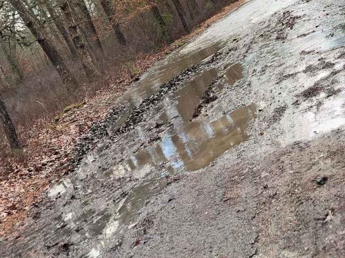 Brendan T. Byrne to Bear Swamp Hill | Off-Road Trail Maps, Difficulty ...